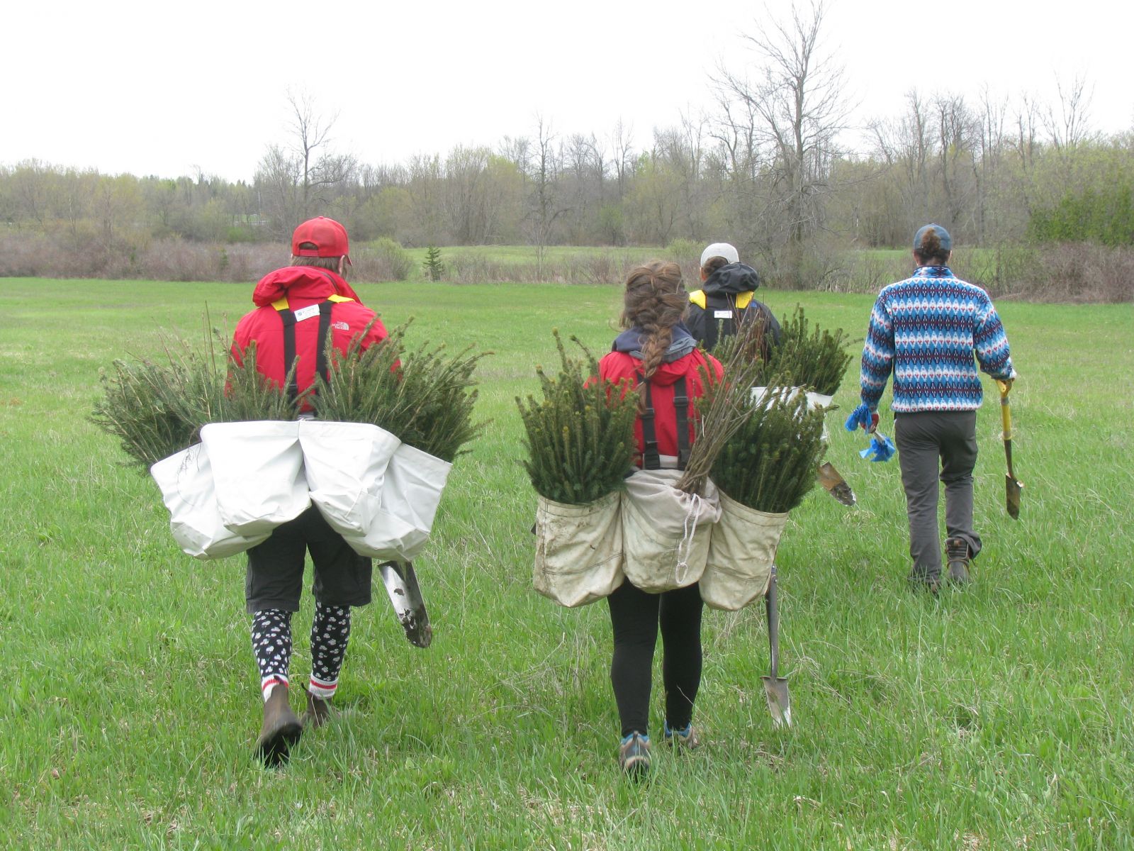 Land and Trees : Programs : Raisin Region Conservation Authority